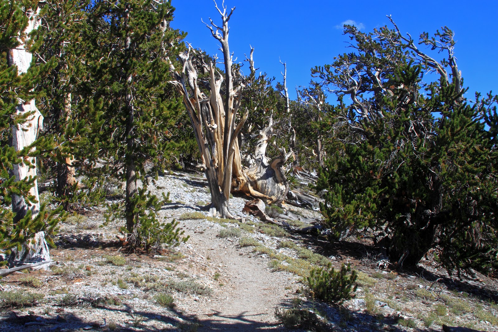 Around the Bend Friends ®: Bonanza Trail (From Cold Creek) - 9/18/12