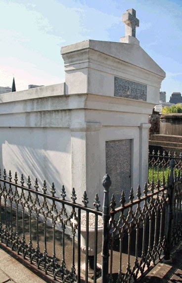 Climbing the Branches of My Family Tree