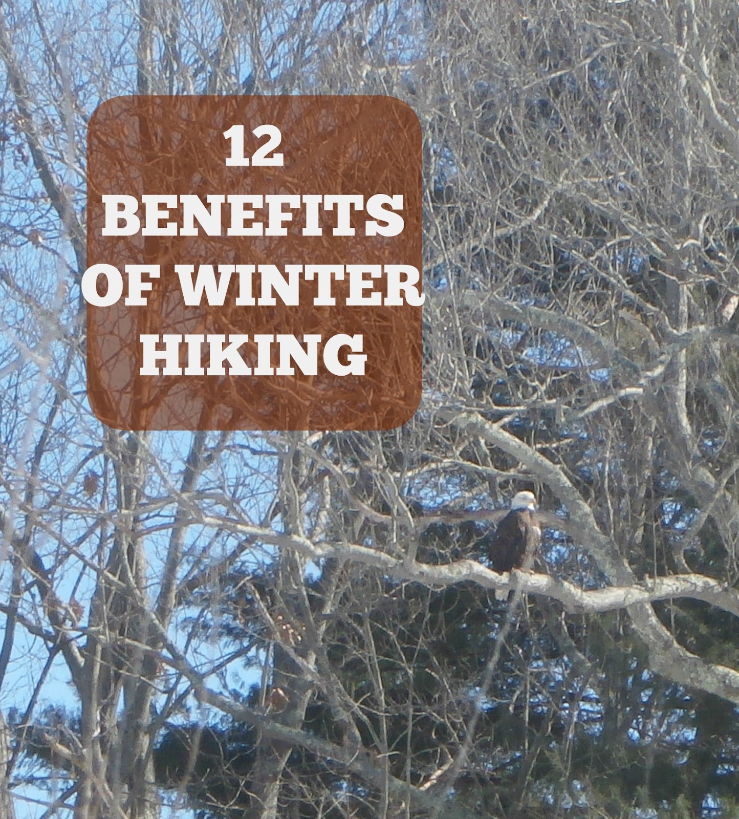 The Benefits of Winter Hiking
