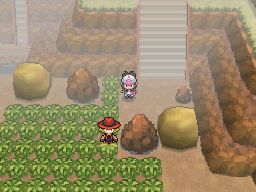 Turismo Pokémon: Rota 15, Marvelous Bridge, Rota 16 e Lostlorn Forest