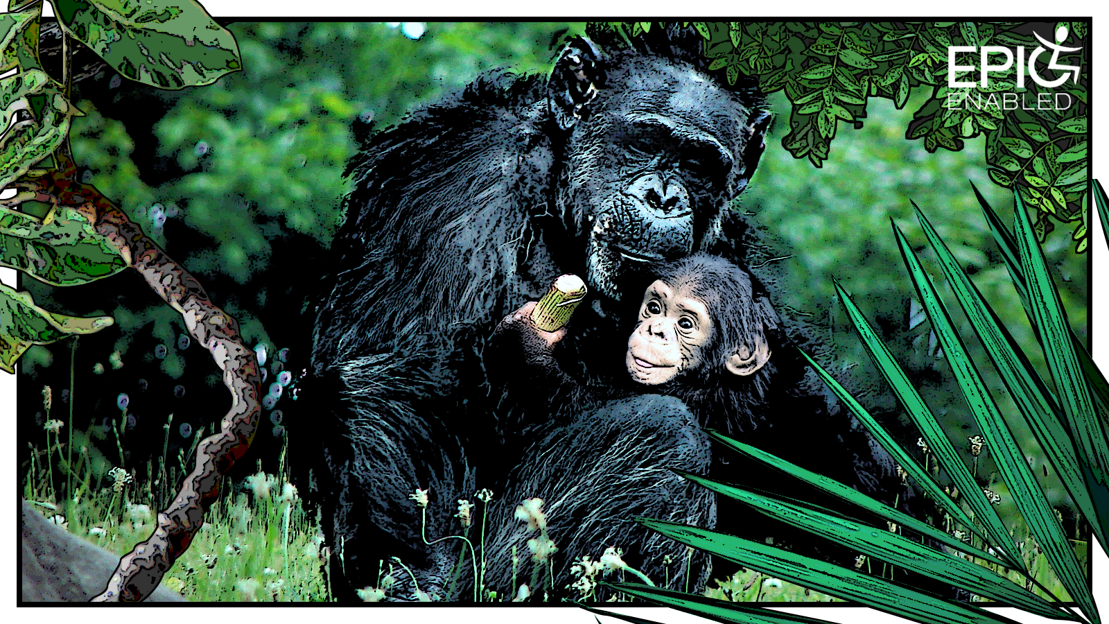 Epic's Interactive Blog: Amazing True Stories of African Animal Heroes