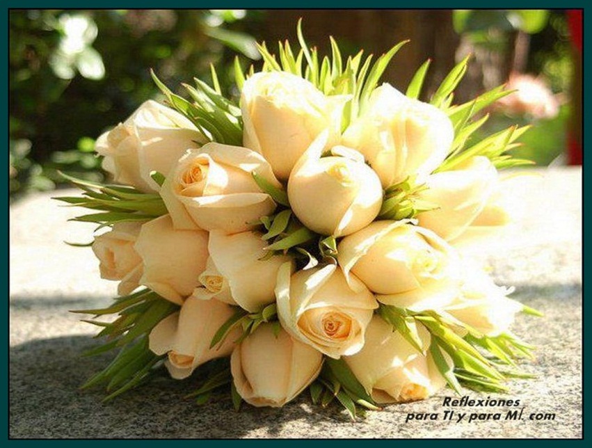 Buenos Deseos para TI y para MÍ: * Hermoso Arreglo de ROSAS BEIGE