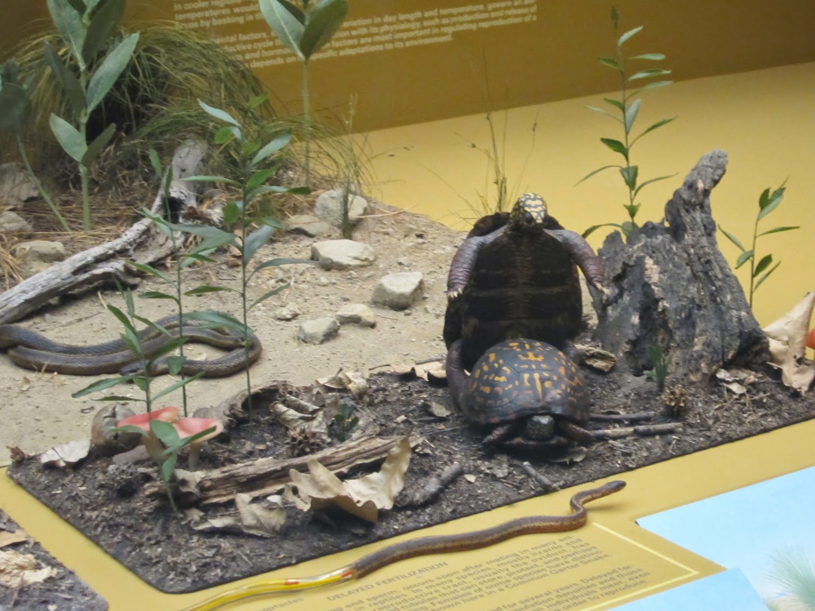 The Burnt Selena Project: Wonderful World of Clutter: 2014