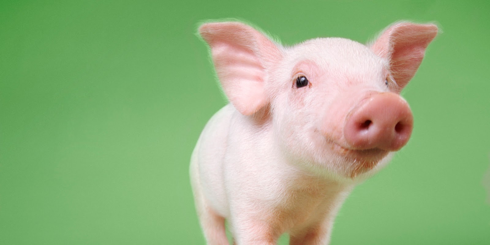 The Glass Character: No, I'm not finished with you yet