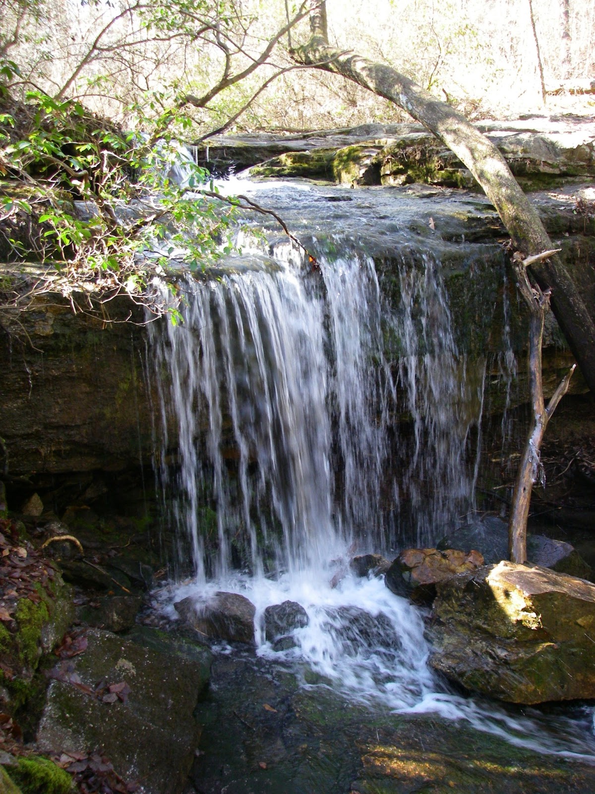 Ravine Ravings: Hiking DeSoto Falls State Park, Alabama