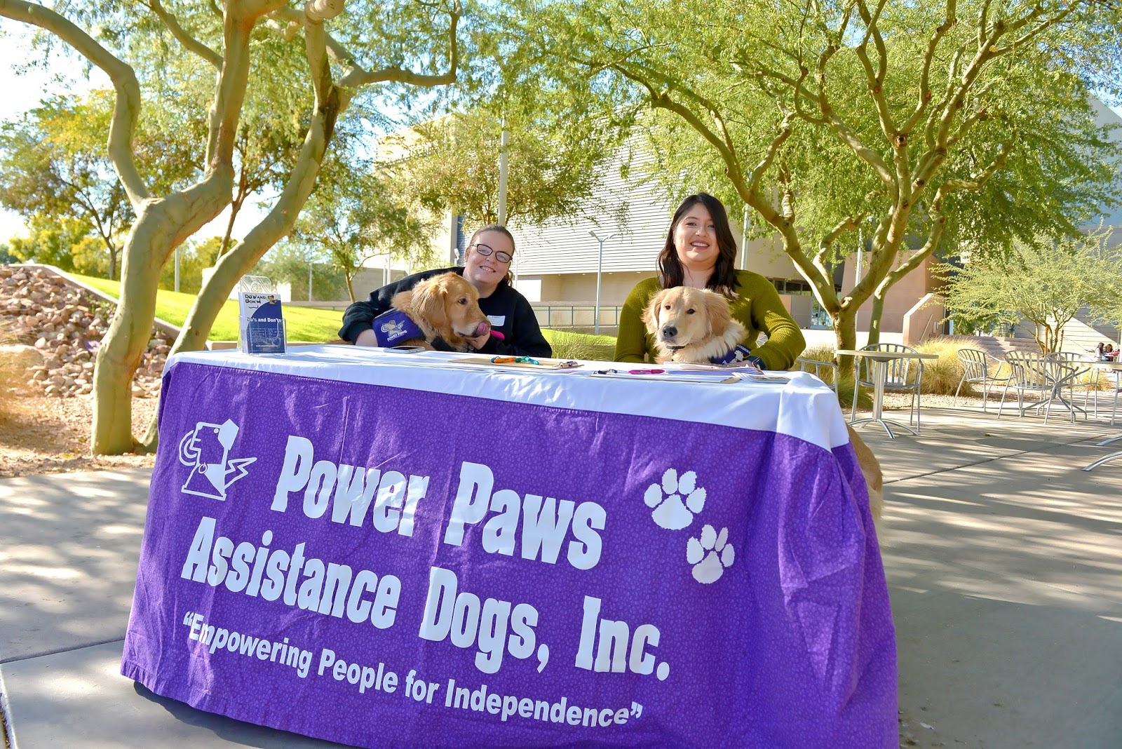 CGCC Connection: Power Paws Seeking Student Volunteers to Raise Service ...