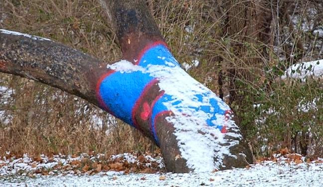 Out and About Decatur #6