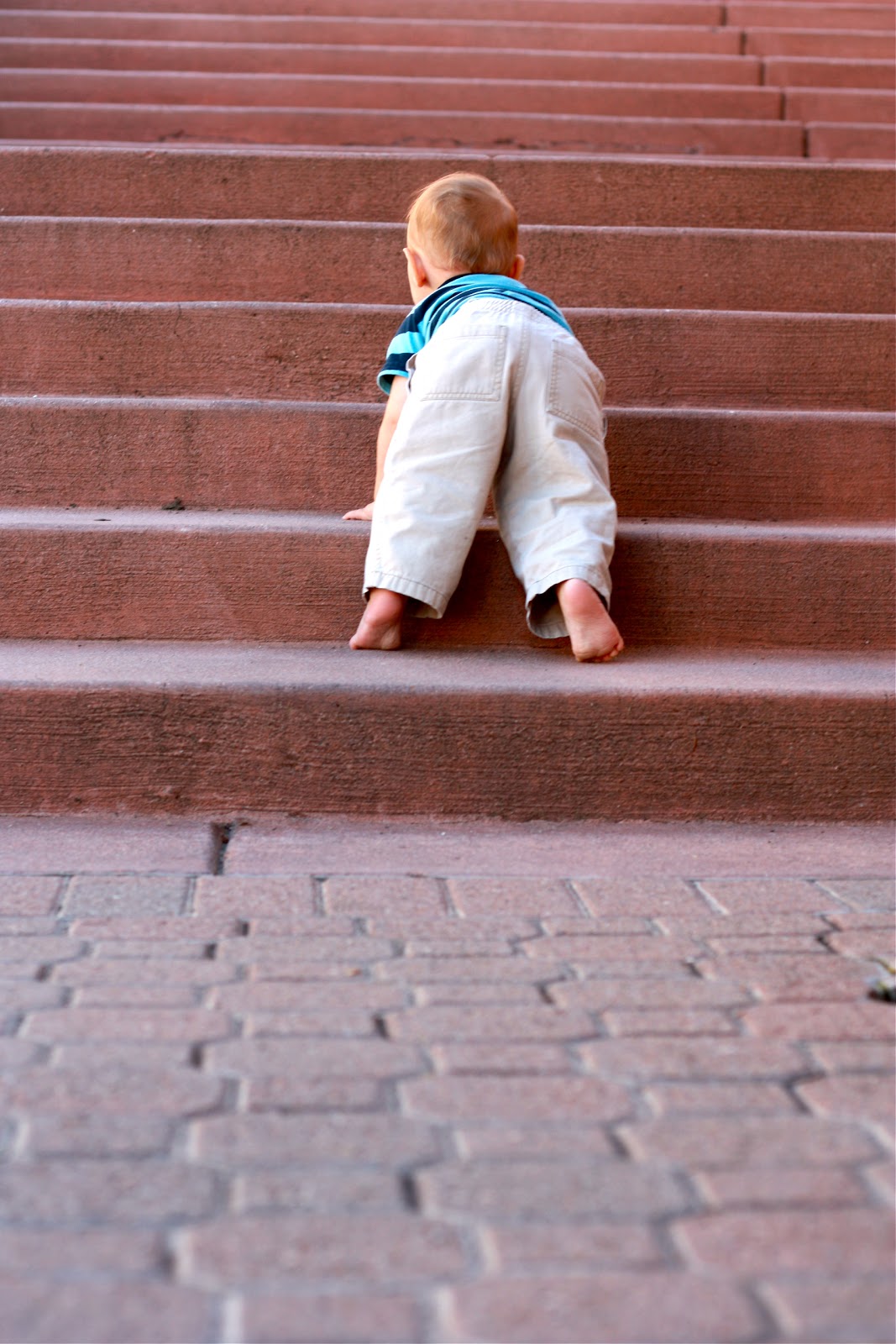 So Many Joyful Noises: The Beaver Creek Poop Walk