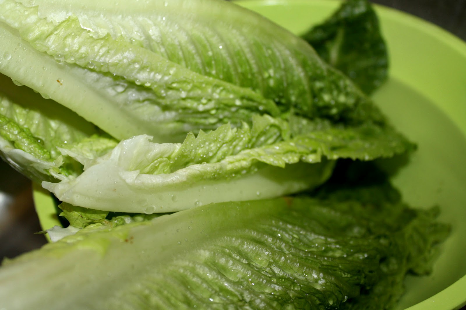 Hello Hungry!: Lettuce Wraps