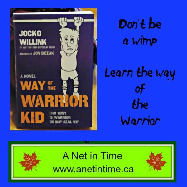 Review: Way of the Warrior Kid - A Net in Time