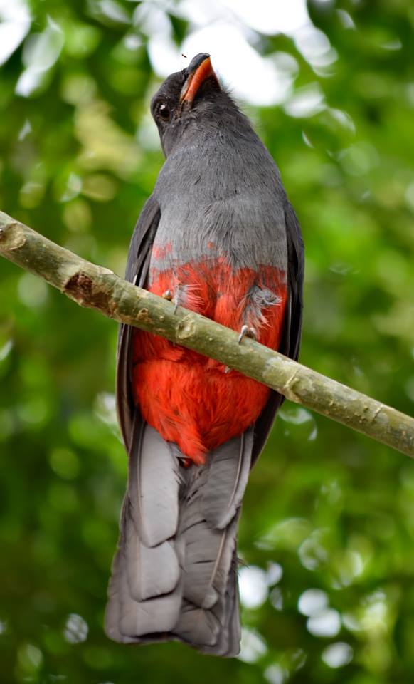 Riqueza Natural de Petén, Guatemala