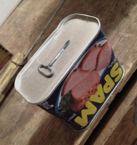 Our Nostalgic Memories: SPAM