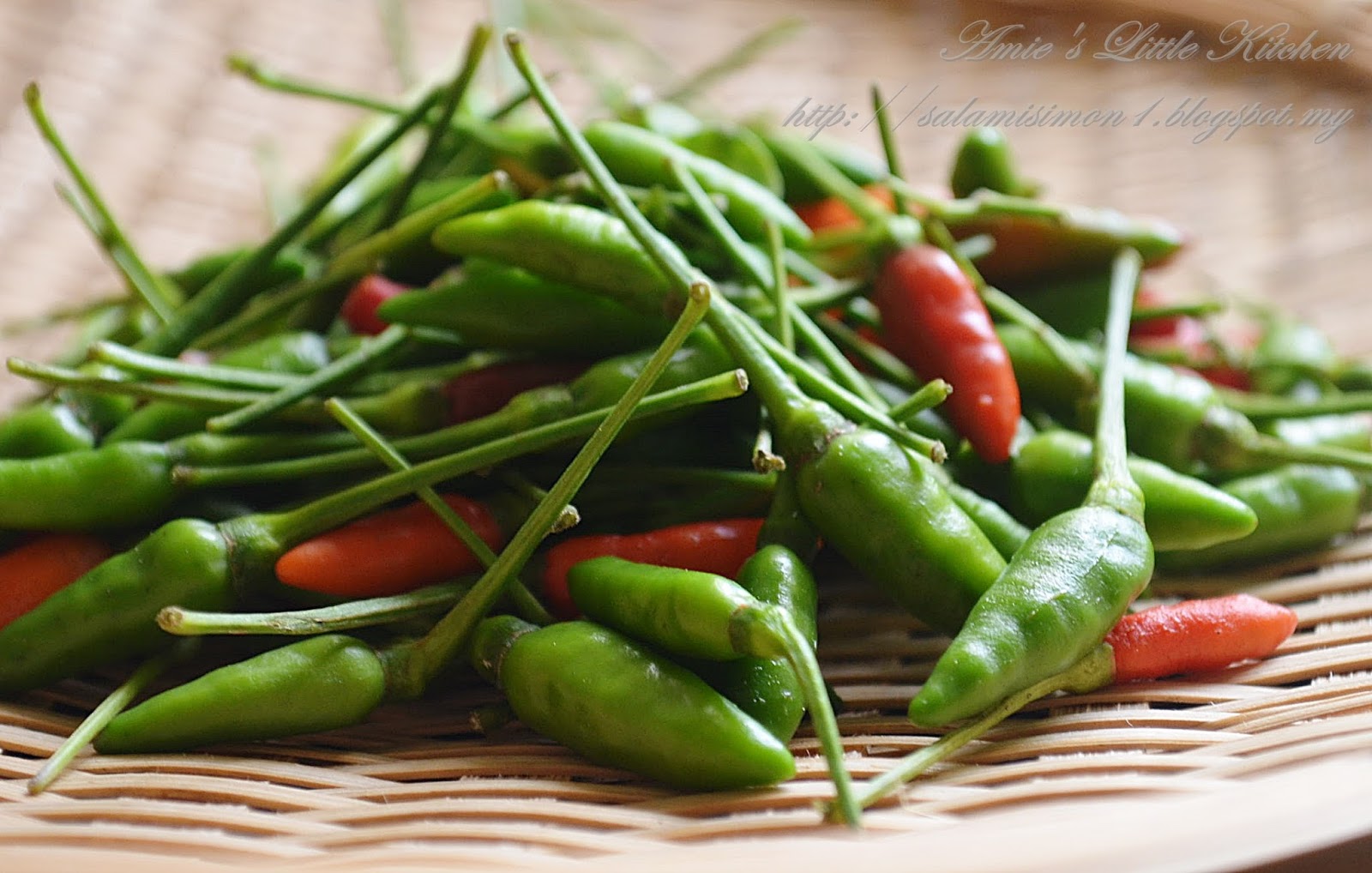 Siapa Yang Makan Cili, Dia Akan Terasa Pedasnya: Cili Oh! Cili Padi ...