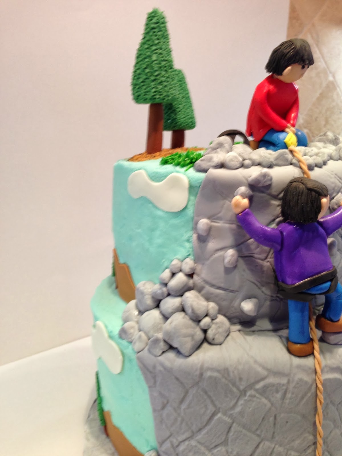 Julie's Custom Confections: Rock Climbing Cake
