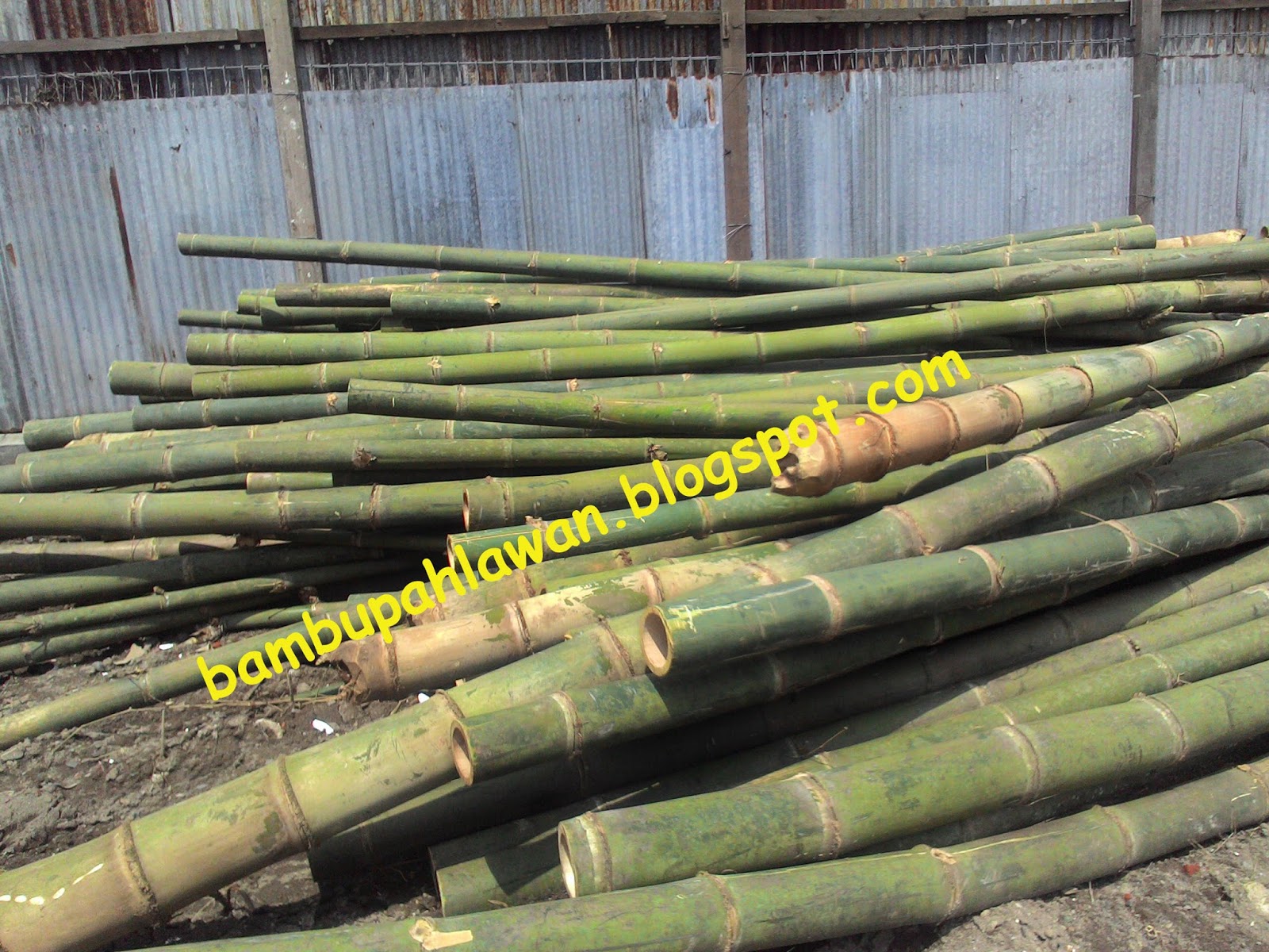 haehany jualan: jual bambu surabaya