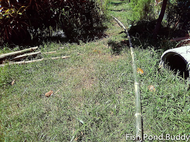 Fish Pond Buddy: How to Make a Milkfish (Bangus) Feeder Device