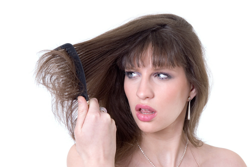 Le blog du cheveu: Comment prendre soin des cheveux secs