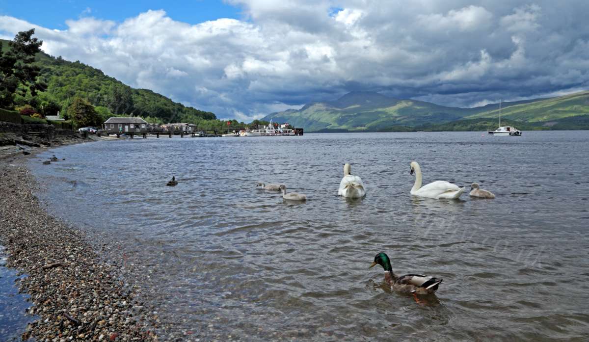 Dougie Coull Photography: Luss - Second Visit This Week