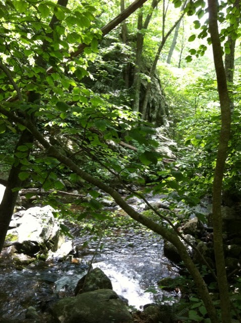 Hawksbill Cabin: Piney Branch - Piney Ridge Trail: a 75@75 Hike (part 2)