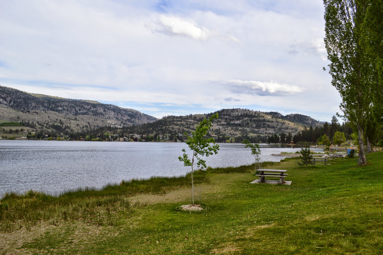 Footloose: On Wed. evening we drove to Kaleden just south of Penticton ...