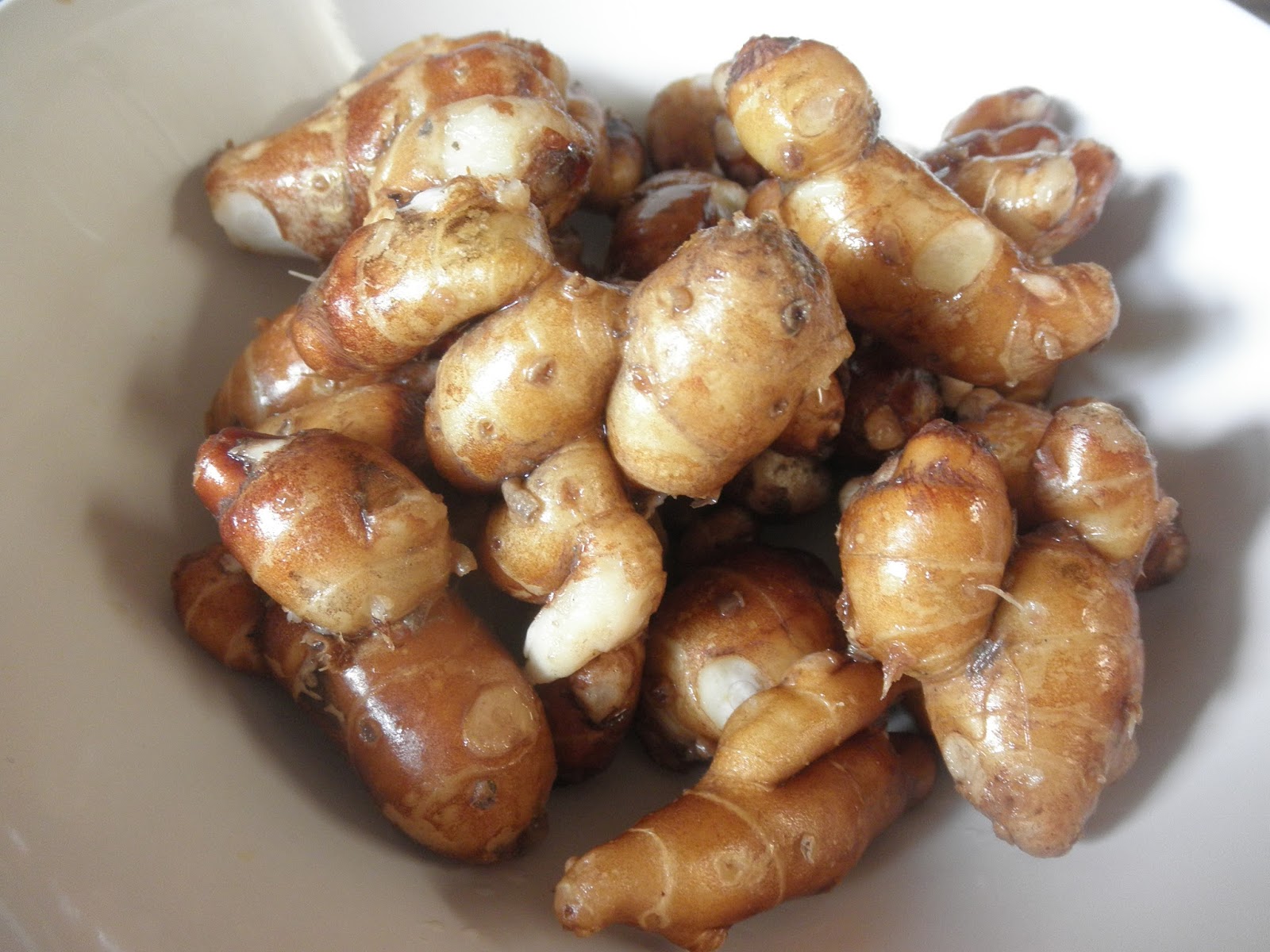 Khasiat Kencur untuk Kencing Batu | AHLINYA PENGOBATAN GINJAL