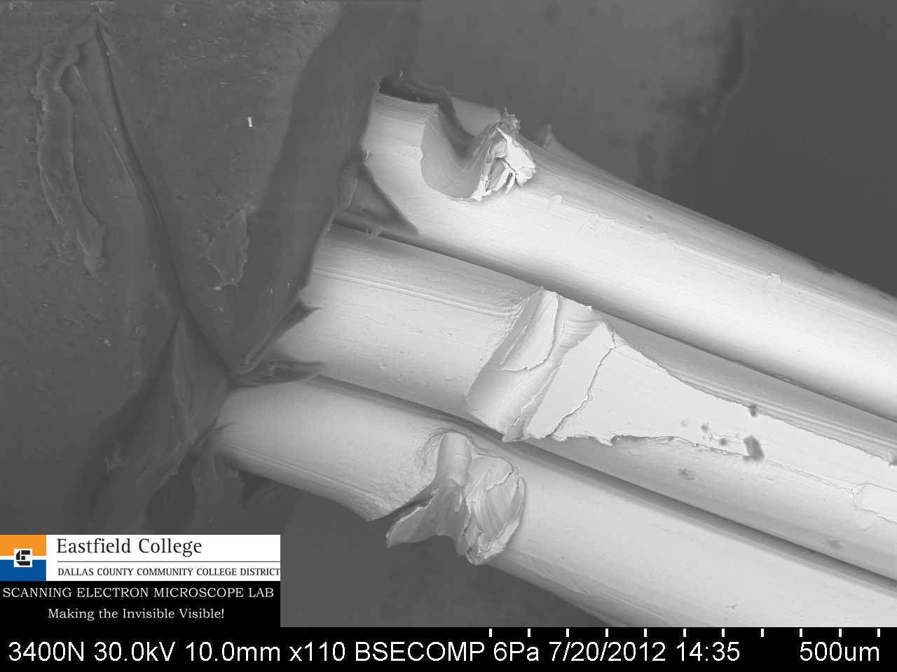 Scanning Electron Microscope Blog: Copper Wire - Cooler than it sounds ...