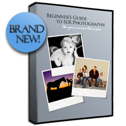 Beginner's Guide to SLR Photography DVD | Photographer Overnight • The ...