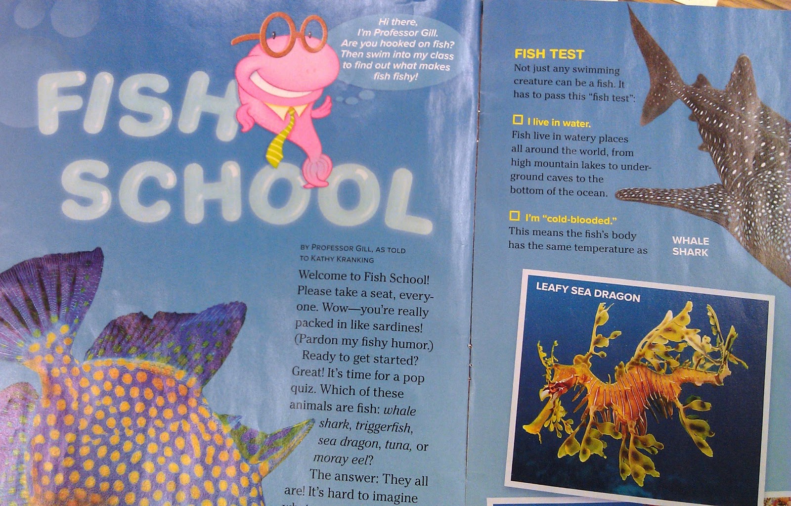 Eclectic Educating: Classifying Information