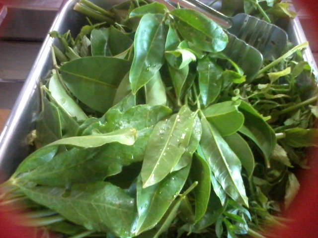 Ulam Tenggek Burung, Tak Kenal Maka Tak Cinta