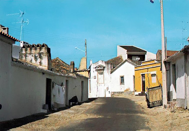 Retratos de Portugal: Azambuja - Rua Diogo Azambuja
