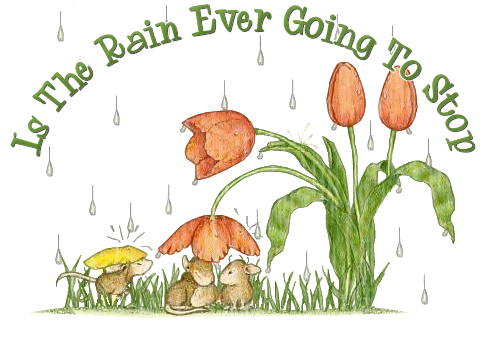 Living Life On Main Street: Too Much Rain A Blessing?