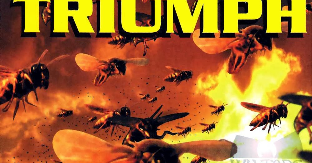 highest level of music: Wu-Tang Clan - Triumph-(Promo_CDS)-1997-hlm