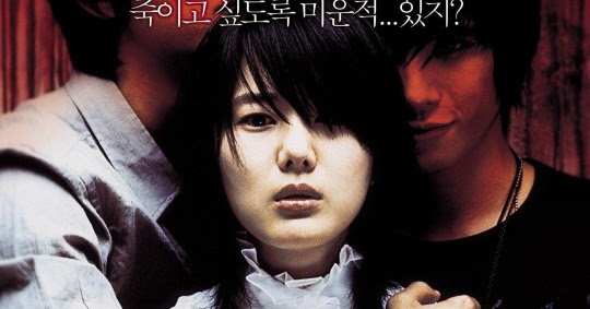 Panda Dorama: Someone Behind You