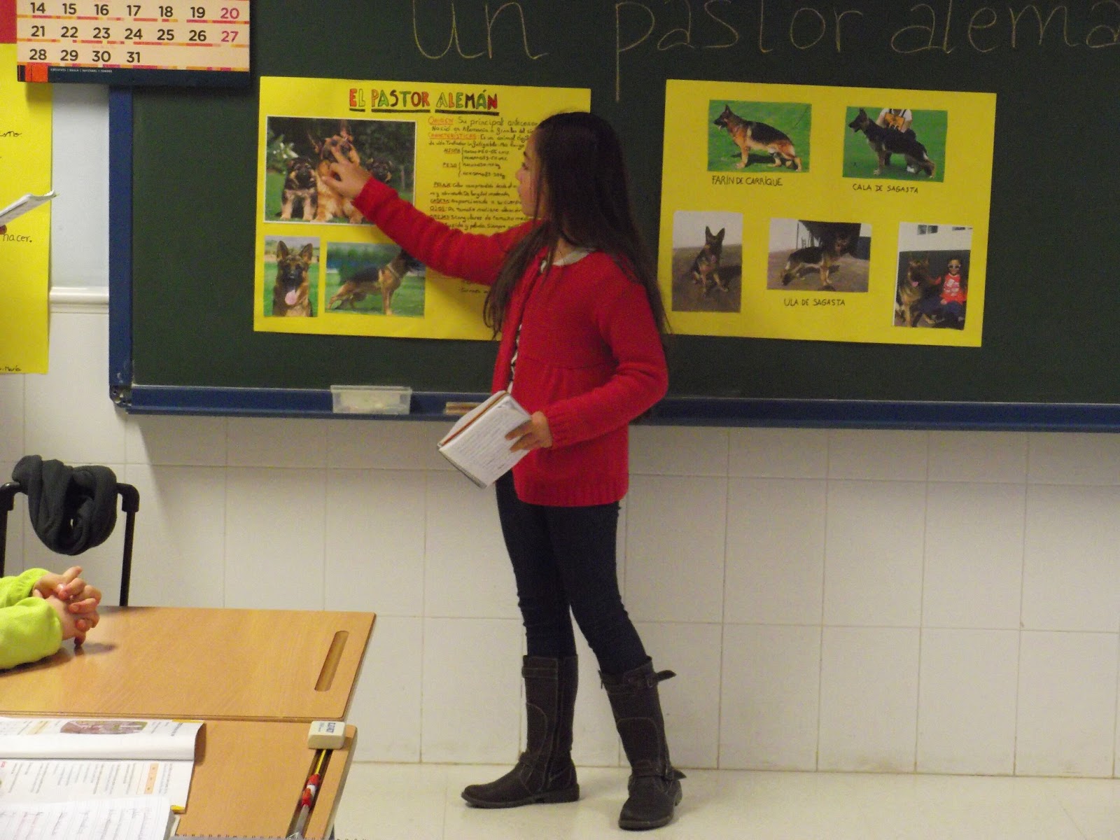 Exposición de un Tema: Exposición de un tema.