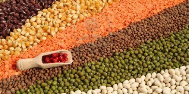 Conoce las ventajas de consumir granos desde la infancia