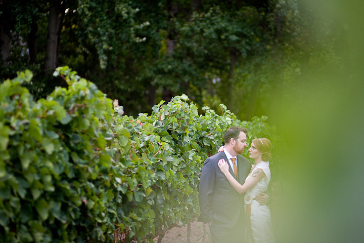 | Taryn Ward Photography: Second shooting: Ross + Rebecca | Holden Manz