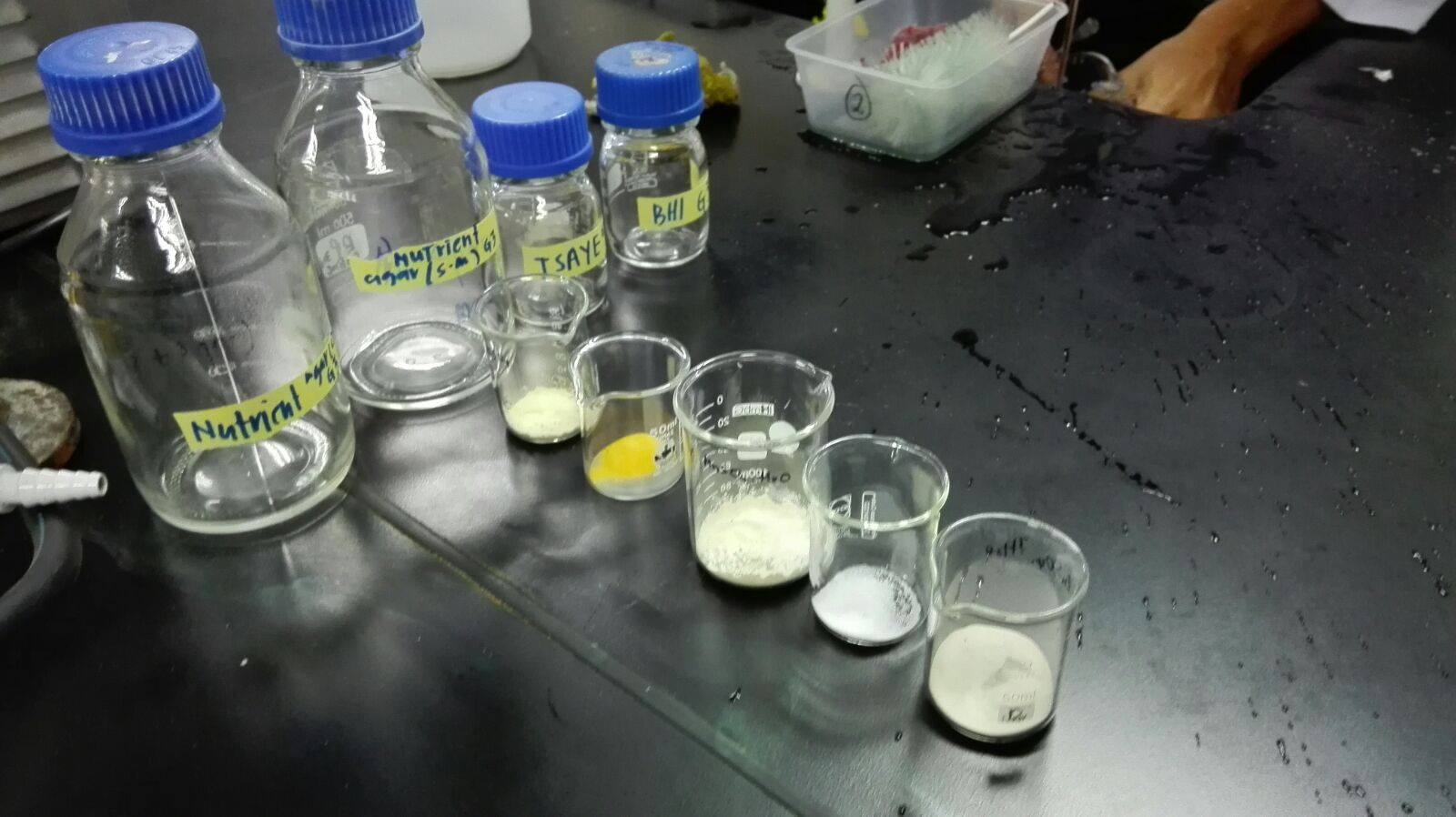 BIOLOGY FOR TECHNOLOGISTS' LABORATORY REPORTS: LAB 3 : PREPARATION AND ...