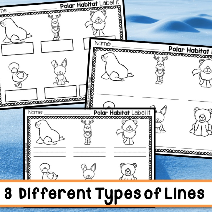 Polar Habitat Label It | The Barefoot Teacher