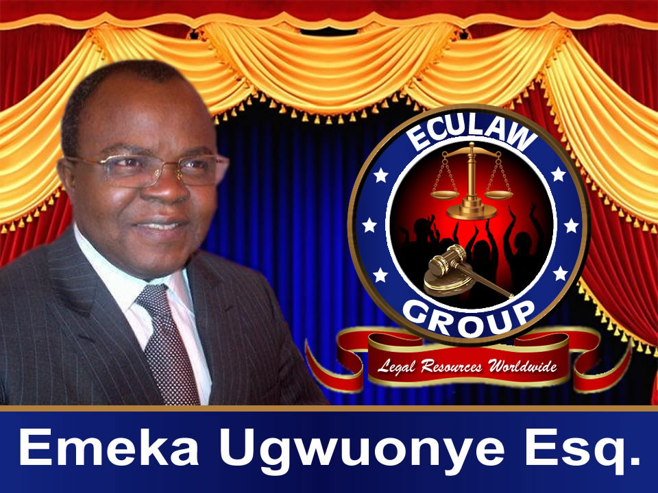THE DUE PROCESS: Summary Profile of: Ephraim Emeka Ugwuonye, Esquire