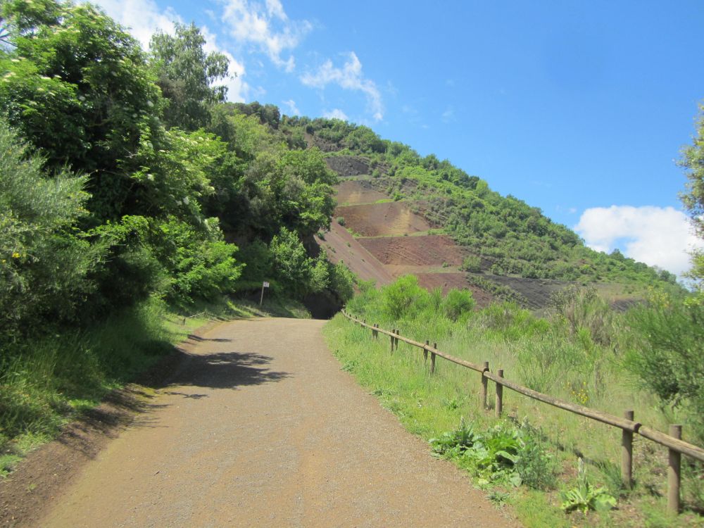 Volcanic Landscapes: Olot Volcanic Field: Croscat volcano