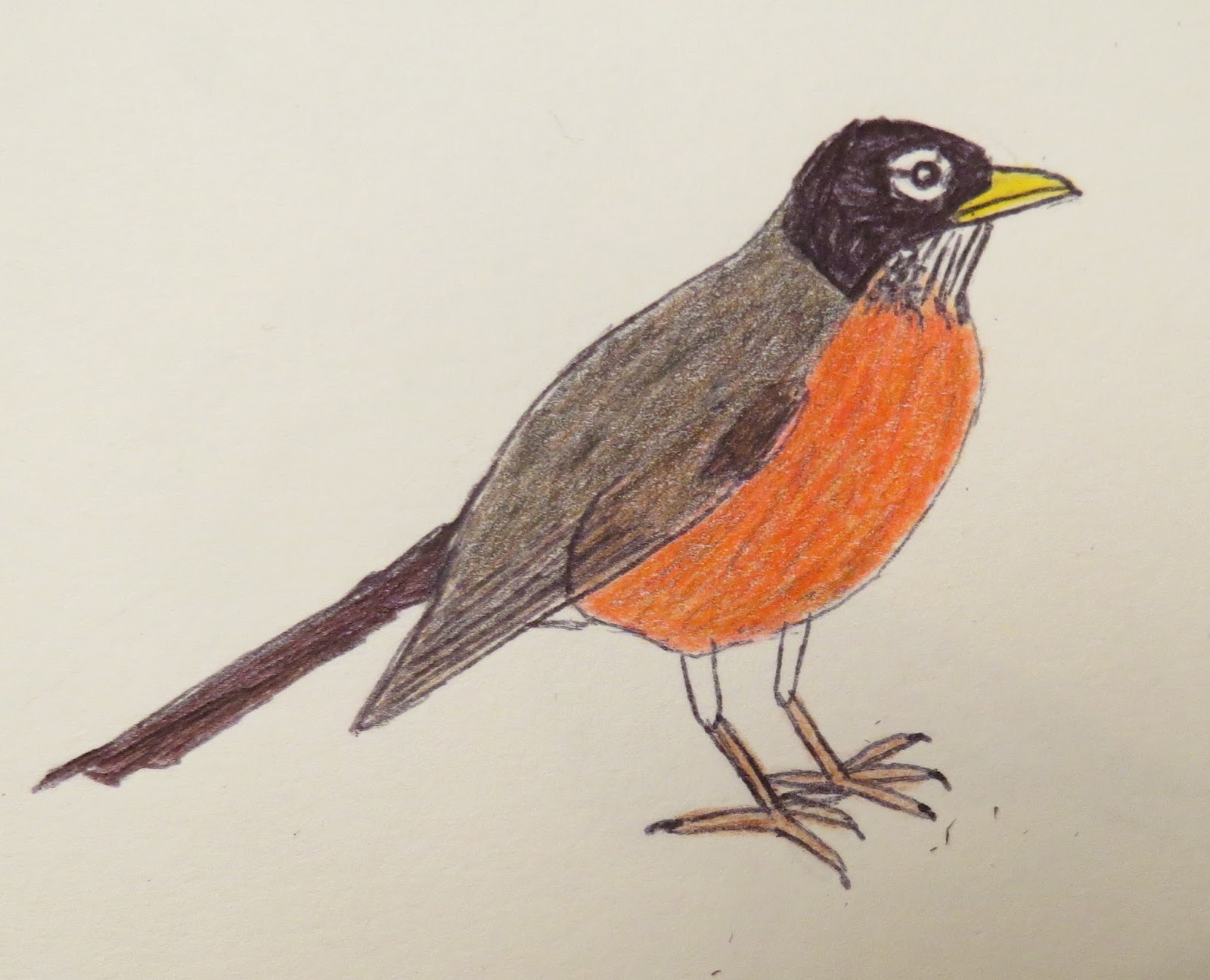 The Autistic Naturalist: How To Draw: Robins (Christmas Special)