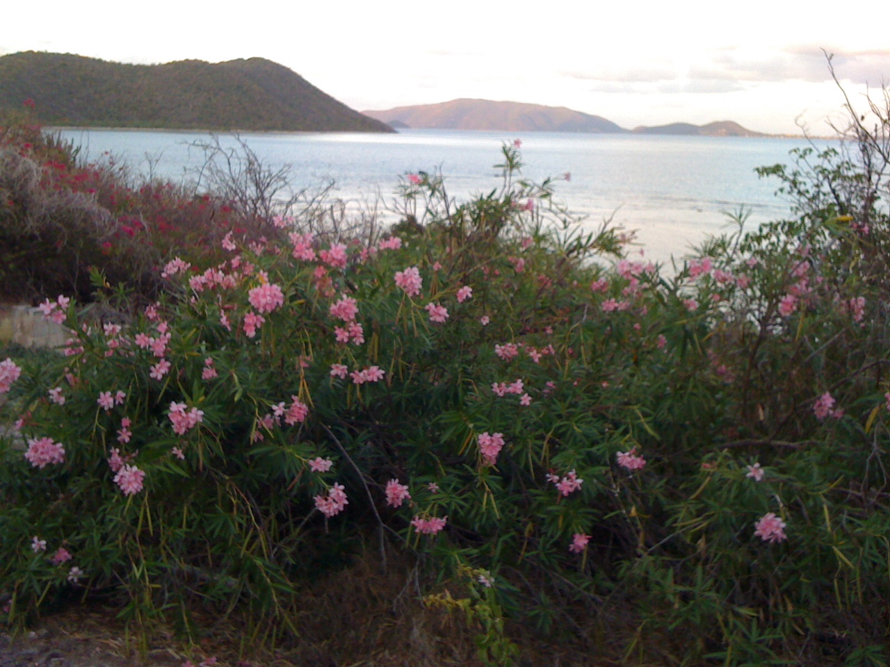 Don't Stop The Carnival: British Virgin Islands
