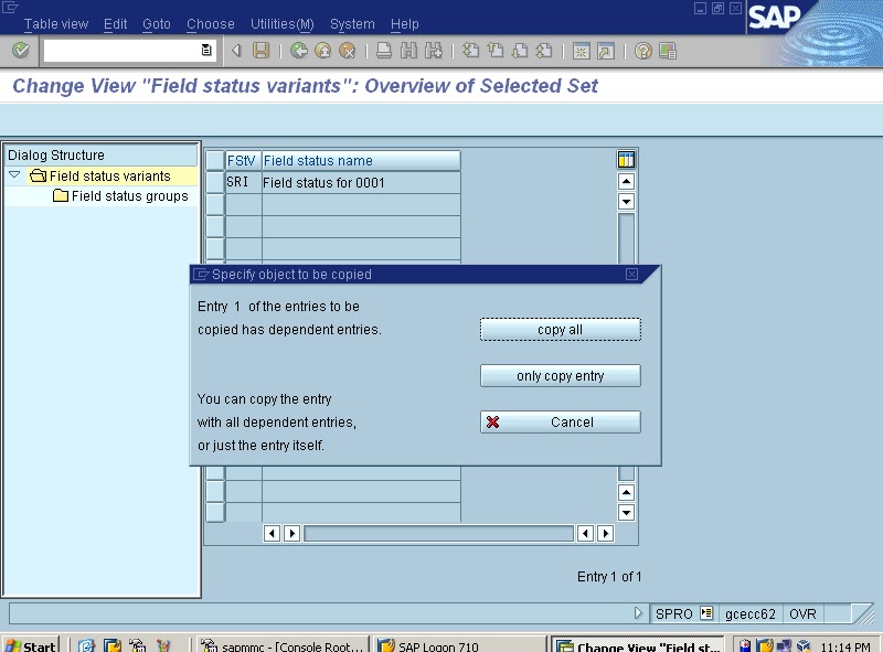 Sap Fico: 10 Maintain Field Status Variants