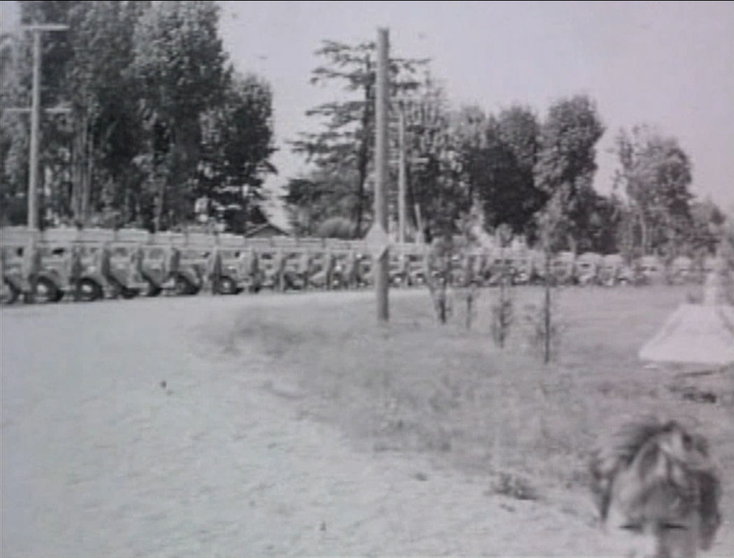 Technocracy Technate Picture Archive: Technocracy: Technocrats