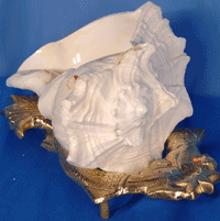 Science & Technology in Mahabharatha: Miscellaneous