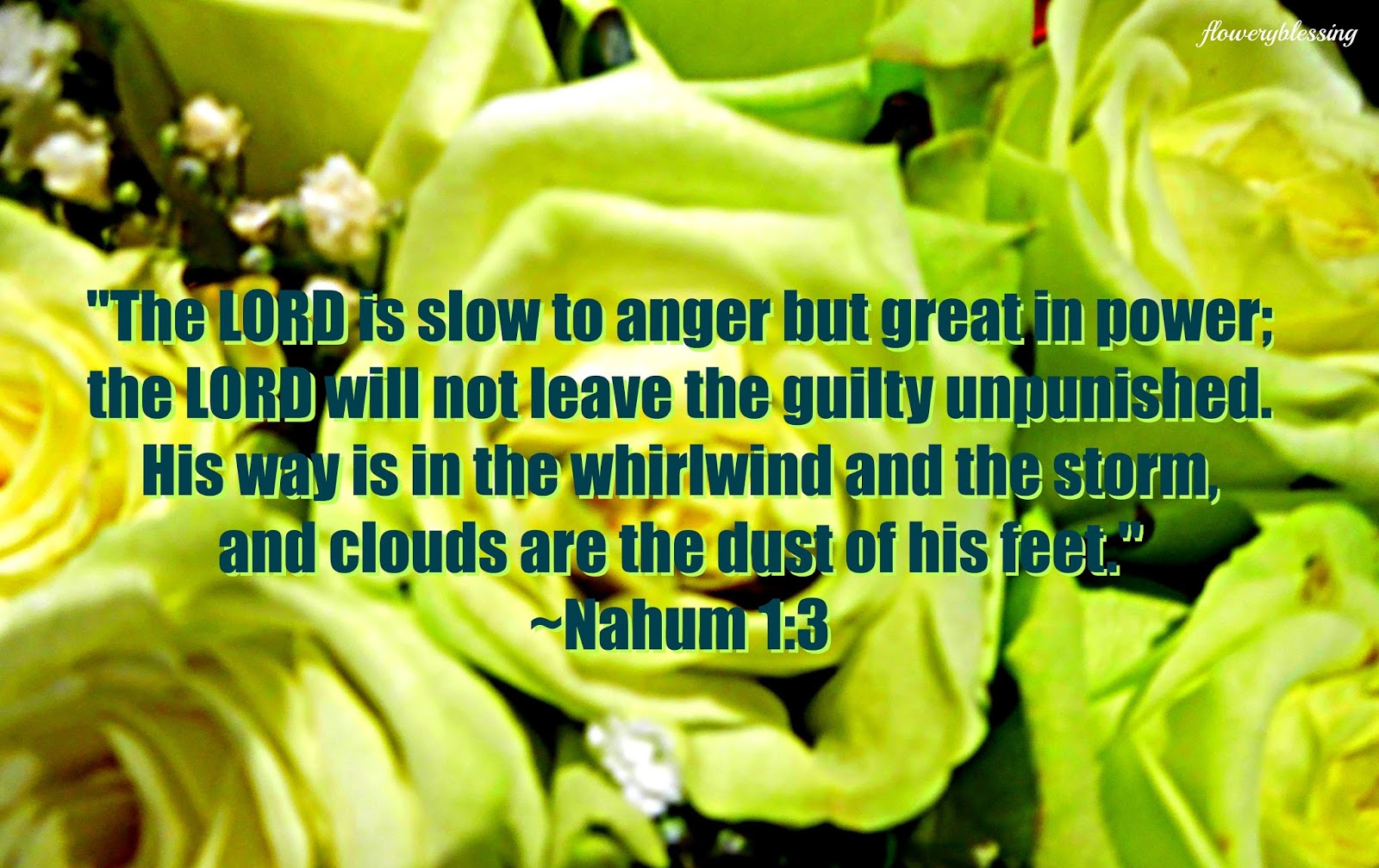 Flowery Blessing: "The LORD is slow to anger but great in power; the ...
