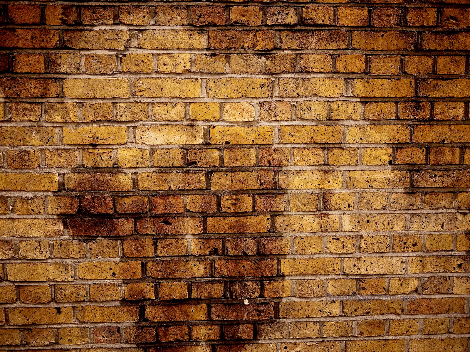 brick wall