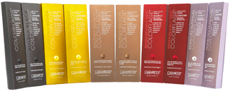 Naturalize your hair with Giovanni Eco Chic, Burt's Bees, Garnier ...