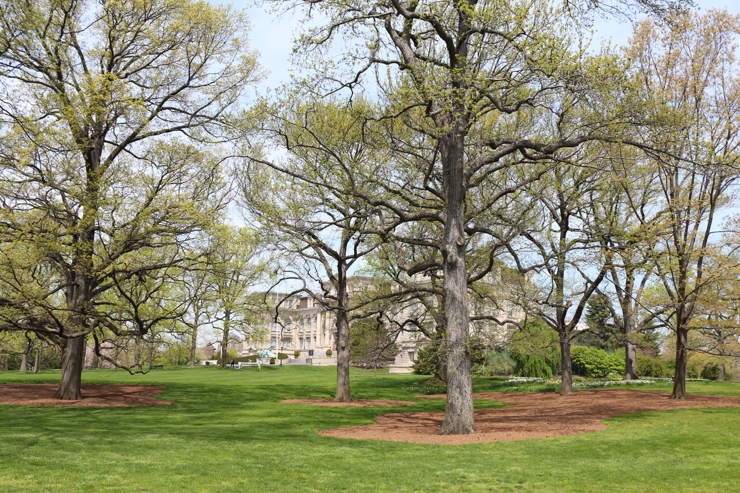 66 Square Feet (Plus): The New York Botanic Garden in April