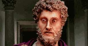 World Socionics: Commodus (EIE): Personality Type Analysis